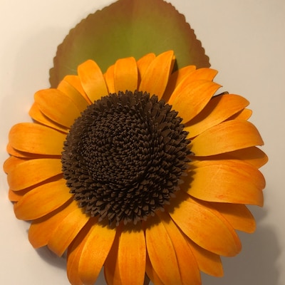 Cosmos 3D Paper Flower Template & Tutorial, SVG Template for Cricut and ...