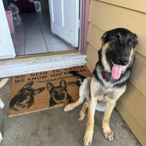 The German Shepherds Door Mat, We Know You ARE Here Shepherd Dogs Door ...