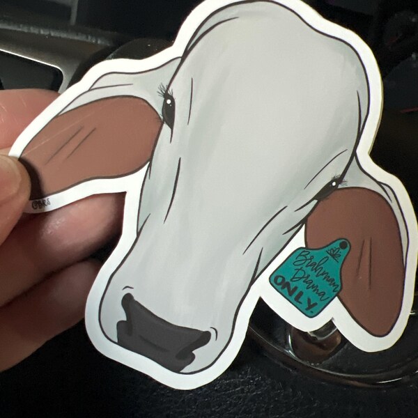 Hereford Cow and Calf Waterproof Sticker - Etsy