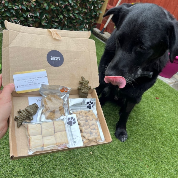 Letterbox Dog Treat Box: Gourmet Puppy Dog Gift With Free UK Delivery ...