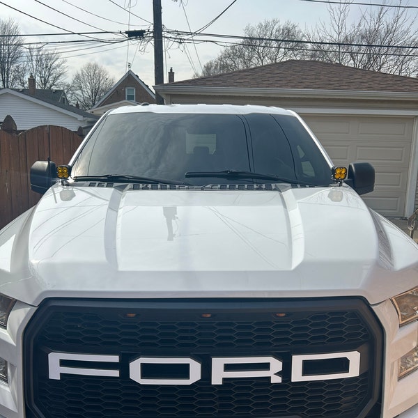 2015-2020 Ford F-150 Paramount Raptor Style Aftermarket Grille Letters ...