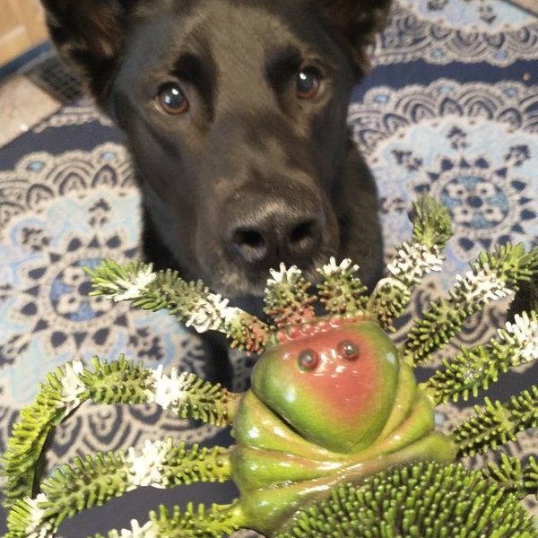 Vintage 2000 Nicole Marciano Autographed Photo 8x10 Penthouse Pet - Etsy