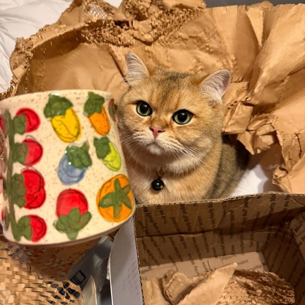 Handmade Tomato Mug Made to Order!! - Etsy