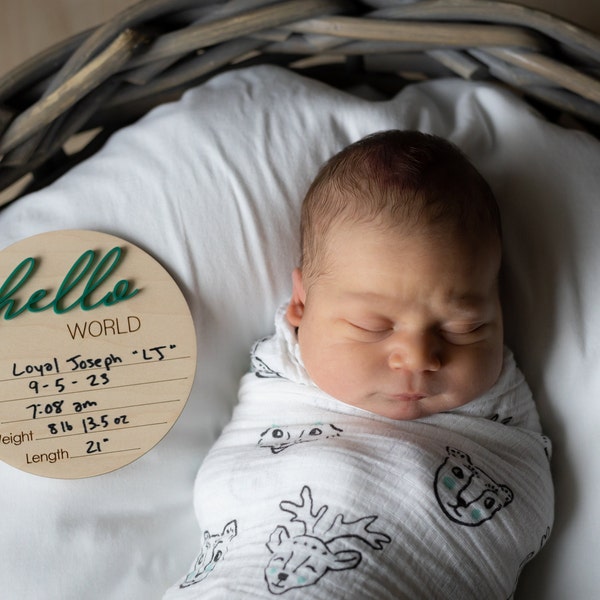 Gender Reveal Hospital Announcement Sign, Hello World Plaque, Gender ...