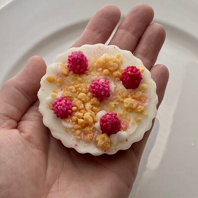 Fruit Tartlets Wax Melts Collection Dessert Wax Melts Fake - Etsy