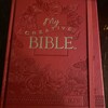 Journaling Bibles Pink Journaling Bible Creative - Etsy
