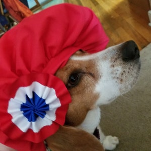 French American Alliance Cockade American Revolution Cockade George ...