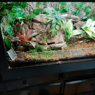 Feeding Rock 10 Colors With 3 Reusable Plates by - Etsy