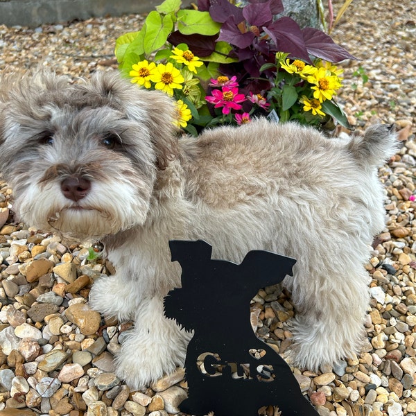 Metal Schnauzer Sign Garden Decor, Roadside Sign, Outdoor Dog Metal ...