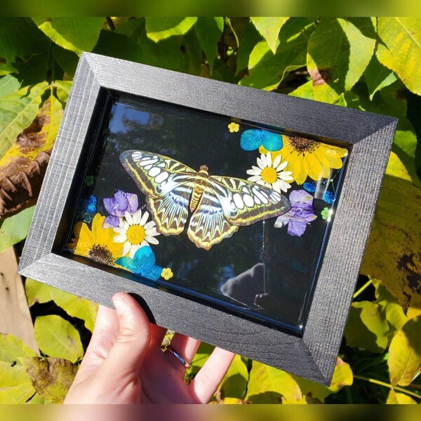 Realistic Paper Butterflies, Double-sided, Faux Butterfly, Paper-cut ...