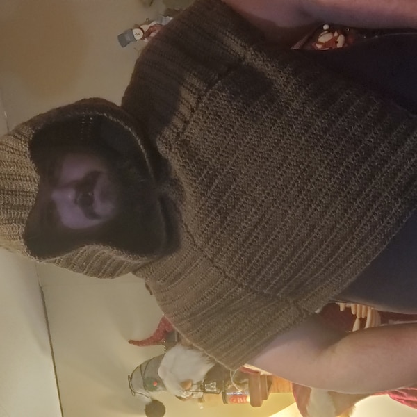 Skjoldehamn Hood - Crochet Pattern - Etsy