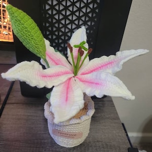 Handmade Crochet White Lily in Pot – Mini Crochet Flower in Pot ...