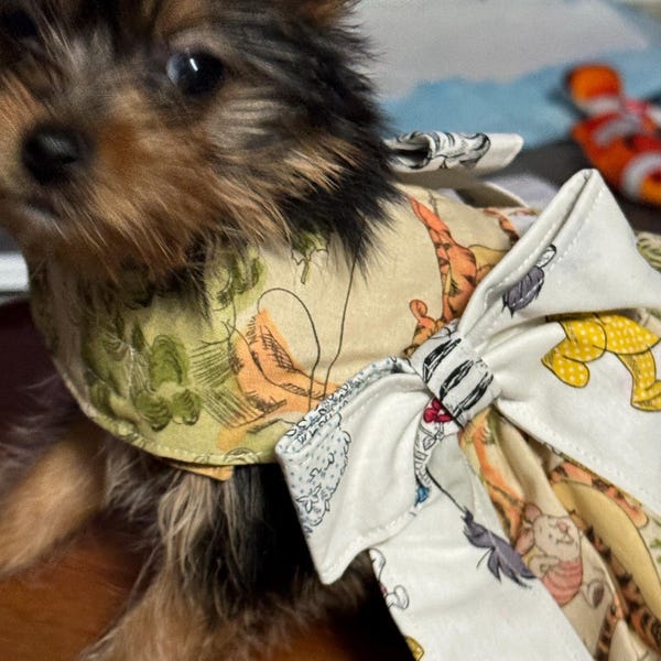Dog/cat Dress Vintage Winnie the Pooh, Hundred Acre Woods, Custom ...