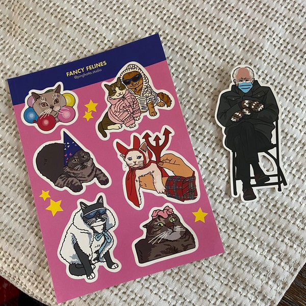 Birthday Party Cat Meme Sticker Sheet – Cat Meme Sticker, Cursed Cat ...