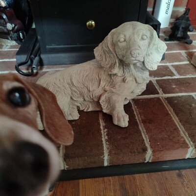 Concrete Hen Chicken Statue Sitting Hen Chicken Figurine Farm Stone ...