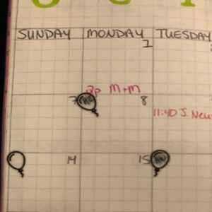 Balloon Stickers Clear Stickers Bullet Points Balloons | Etsy