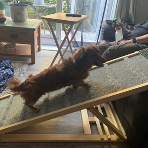 Pet Ramp With Foldable Rails Extra Front Rail - Etsy