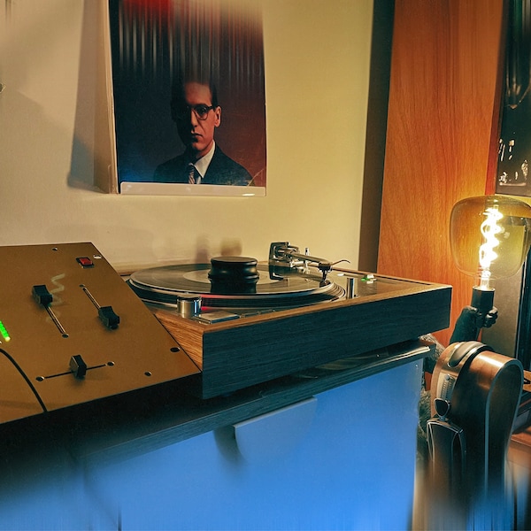 Technics 1210 1200 Wooden Plinth Surround, for Your Audiophile Hifi ...