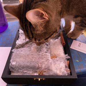 Beginner Witch Box Witchcraft Starter Kit Magic Spell Box - Etsy Canada