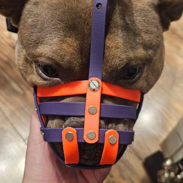 Removable Forehead Strap Option: Custom Made Biothane Dog Muzzle ...