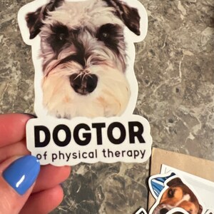 It Depends Die Cut Sticker, Doctor of Physical Therapy Sticker ...
