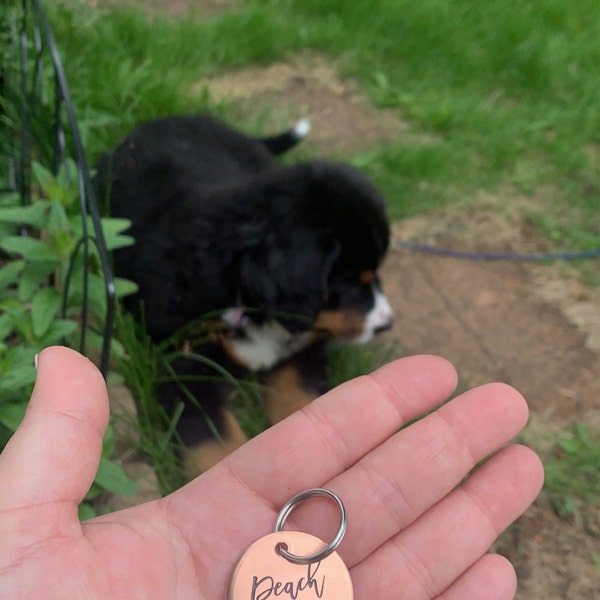 Pet Id Tag, Dog Tags Personalized, Collar Name Tag, Dog Tags, Dog Tags ...