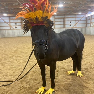 Dragon Slayer Horse Chanfron Face Armor in Silver Medieval | Etsy