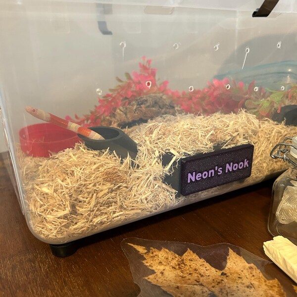 XL Hoggy Hide. Burrow Hide. Snake Hide for Western Hognose, Colubrids ...