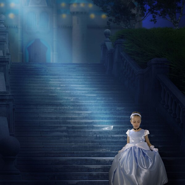 Cinderella Themed Digital Background Princess Photoshop Template - Etsy