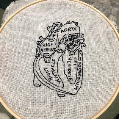 Anatomy Embroidery Pattern Bundle Nurse Embroidery Guide DIY - Etsy