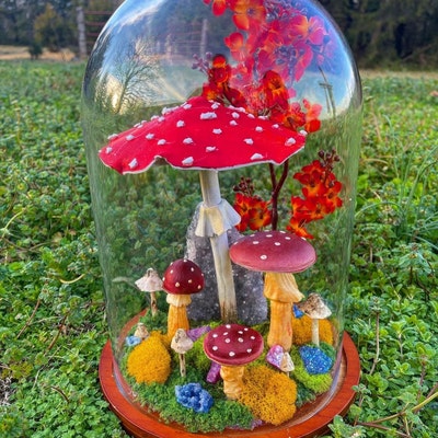 Mushroom Terrarium Psychedelic Shrooms Plant Decor Brown Tiny - Etsy