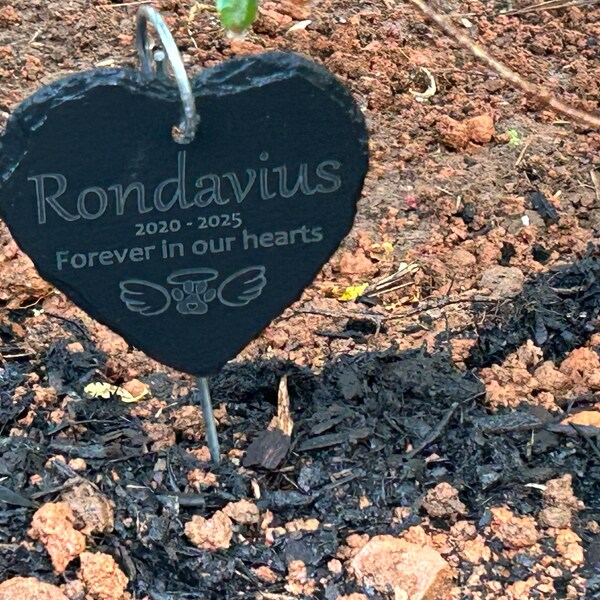 Pet Chicken Hen Memorial Garden Sign With Hanging Stake - Honor Your ...