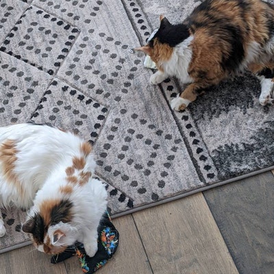 Refillable Catnip Cat Mat - Etsy