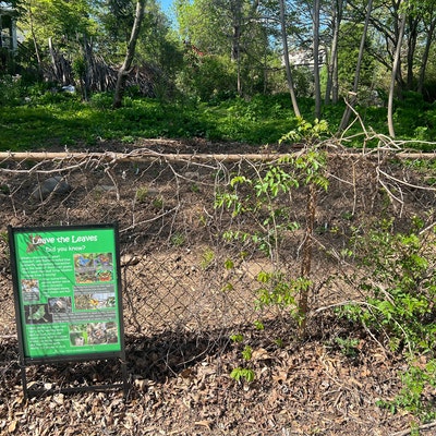 Leave the Leaves Sign 18 X 12 - Etsy