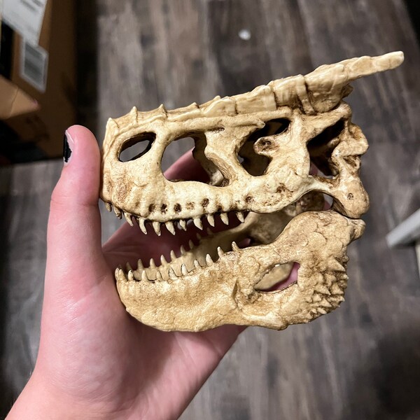 Tigrex Skull "monster Hunter" - Etsy