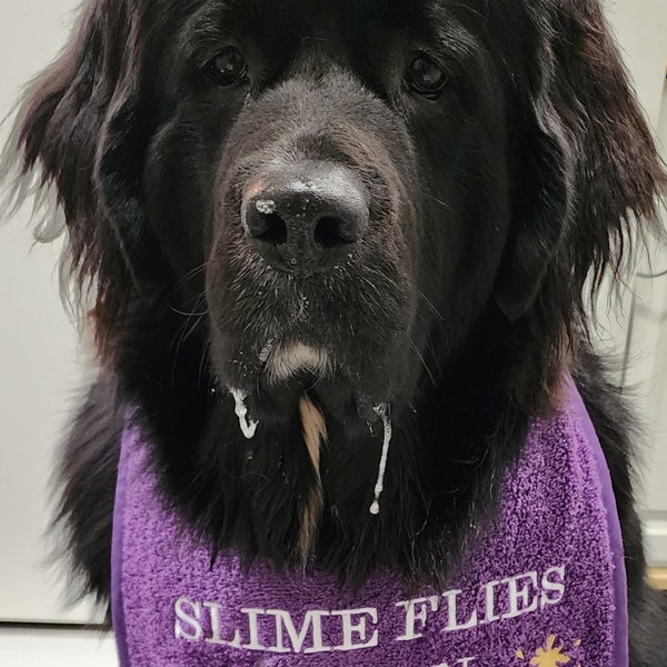 Big Dog Slobber Bibs Assorted Designs - Etsy