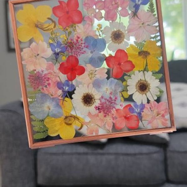 DIY Pressed Flower Frame Art Kit: Make Your Own Herbarium Art Floating ...