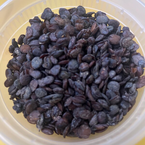 Turning Stick/orogun/omorogun - Etsy