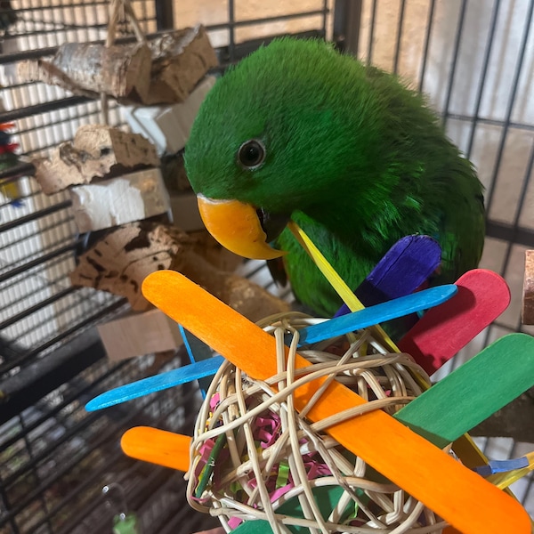 3 Foraging Munch Balls - Talon Toys - Bird Toys for Pet Parrots by A ...