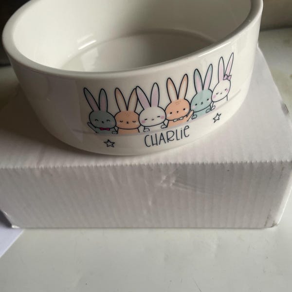 Personalised Rabbit Bowl | Rabbit Christmas Gift | New Rabbit Present ...