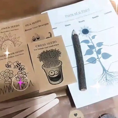 Kids Activity Box, Garden Set for Kids, Kids Gardening Kit, Seed Kits ...