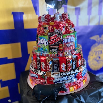 College Acceptance/graduation any School Candy Cake Jumbo - Etsy