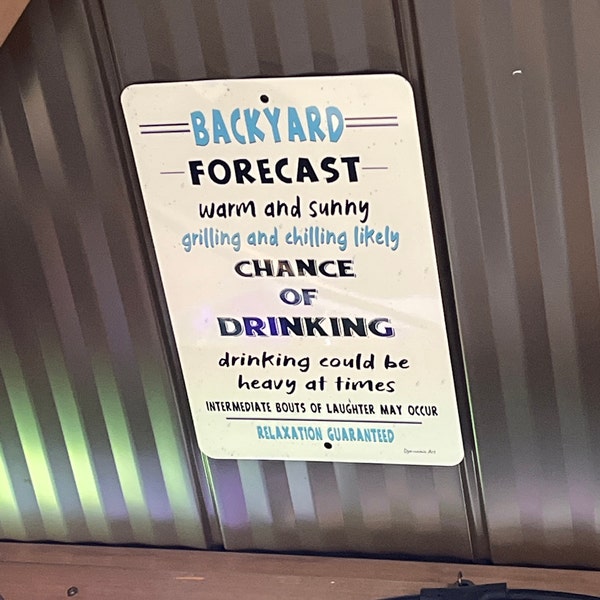 Pool Rules Swimming Pool Sign, Pink Flamingo Decor, Outdoor Pool Yard ...