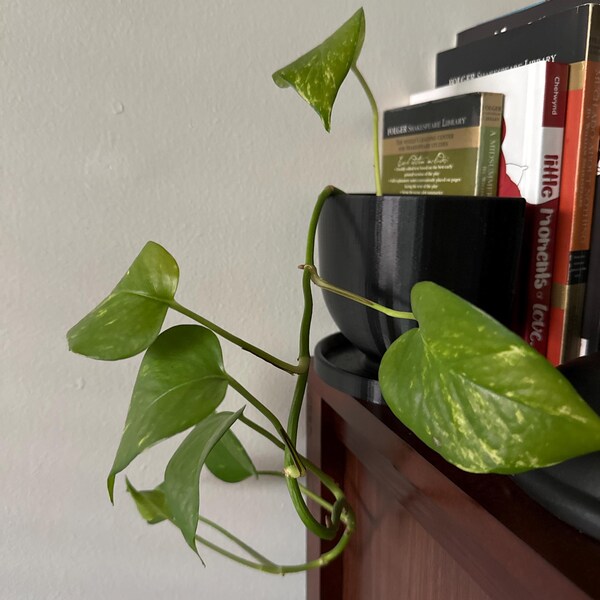 CLASSICS Library Legend Jane Austen Book Swag Book Lover Bookish Gifts ...