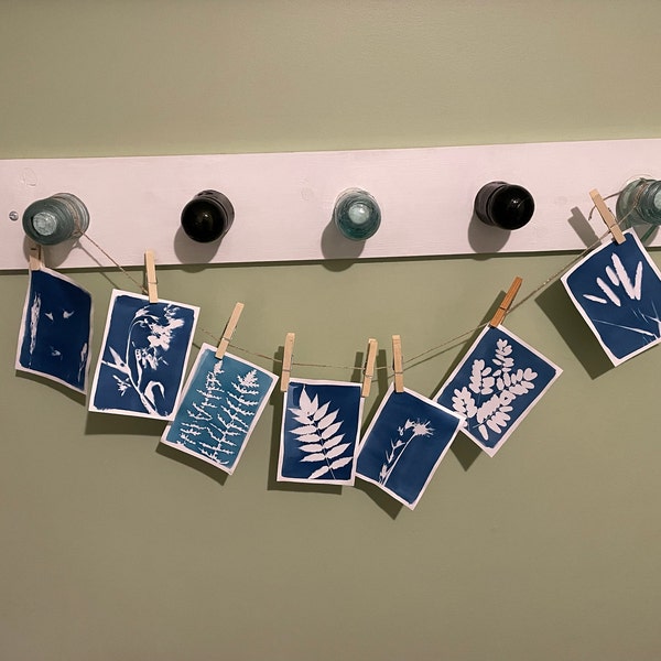 Cyanotype Kit: Easy to Use Sun Printing Kit by Daisy Bow Craft - Etsy