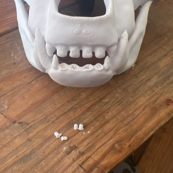 Toony Cat Feline Bone Skull Mask Movable Moving Hinge Jaw 3D Printed ...