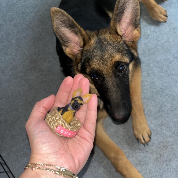 Personalised Dog Pet Replica - A Palm Sized, Needle Felted Version of ...