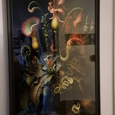 Vintage Medical Oddities Anatomy Wall Decor, Victorian Medical ...