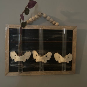 Skeleton Coffin Bone Box, Box of Bones, Bone Throwing Set, Goth Decor ...