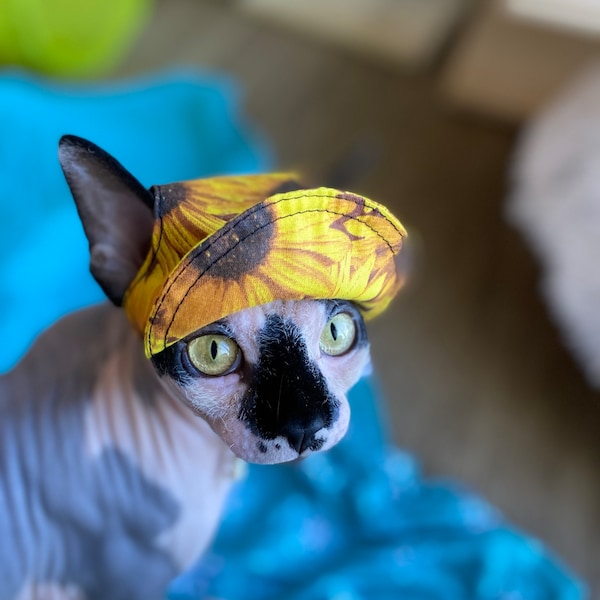 Sphynx Cat Hat, Bambino Sphynx Hat, Summer Hat for Sphynx, Sphynx Hat ...